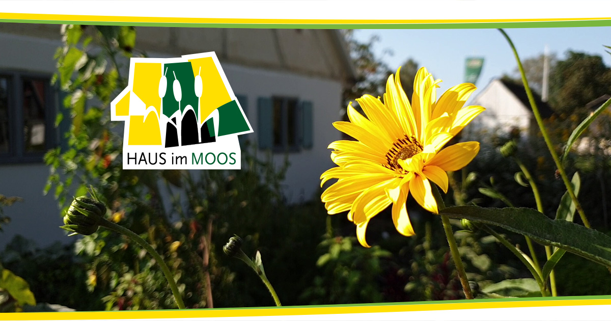 Museum - Umweltbildungsstätte - Freilichtmuseum - Bildungsstätte